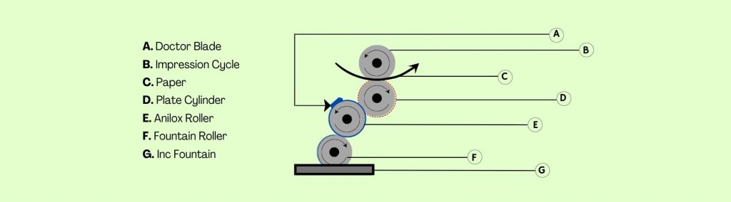 Flexo Printing Inks & Substrates | Tamarack Products